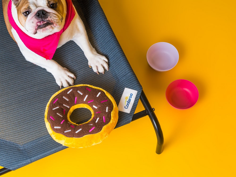 COOLAROO – Petitudo